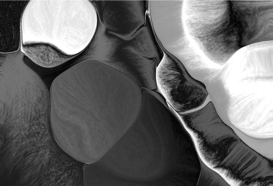 【SAWAA】SAWAA 兩週年特展 《觀於肌孵 Skin.Hatc | @cosme