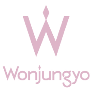 Wonjungyo 使用心得一覽 | 找美妝@cosme